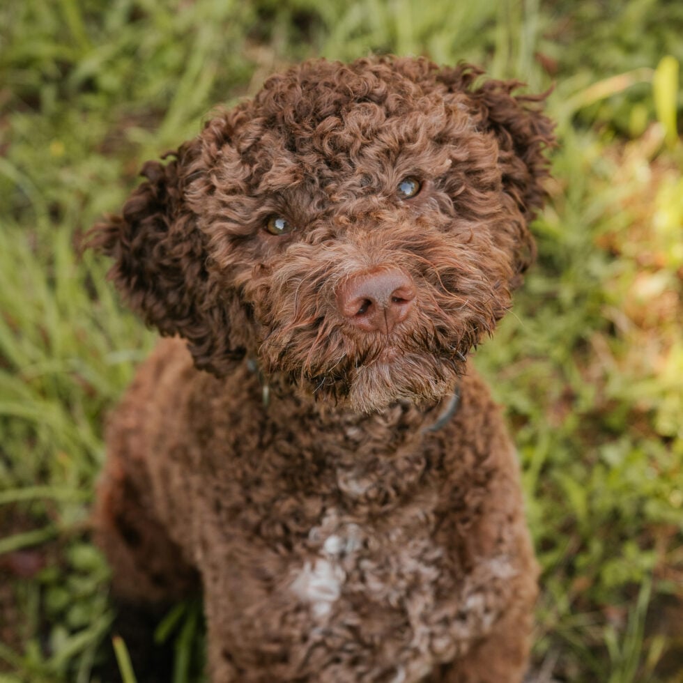 Timon und Melina Royer 🌟 Über uns & unsere Mission